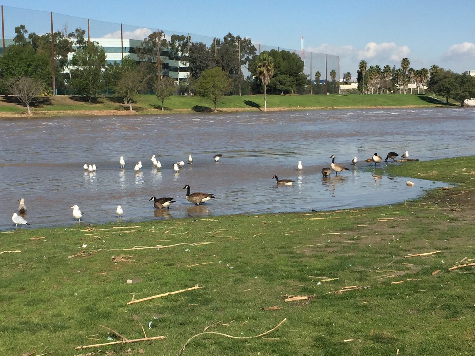 River View Environs - River View Golf Club