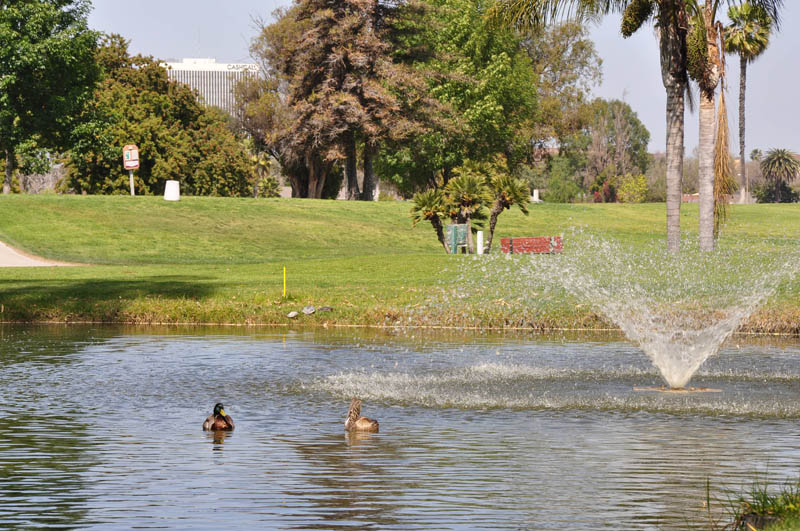 River View Environs - River View Golf Club